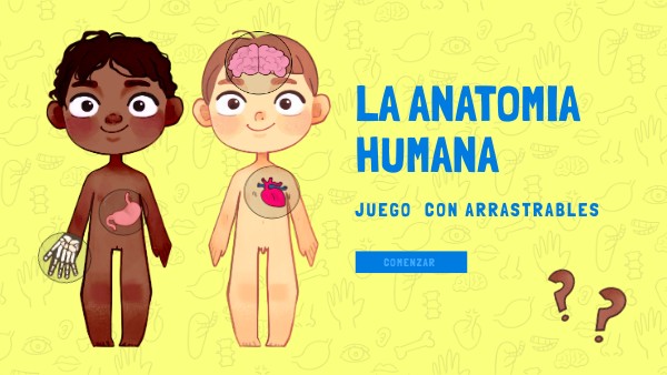 anatomia humana | Genially