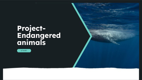 THE WHALE | Genially