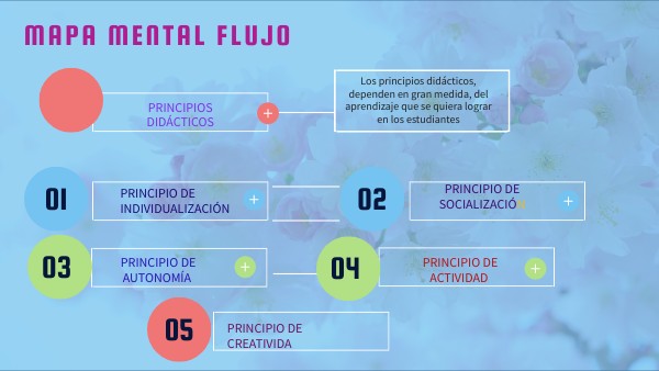 MAPA MENTAL FLUJO
