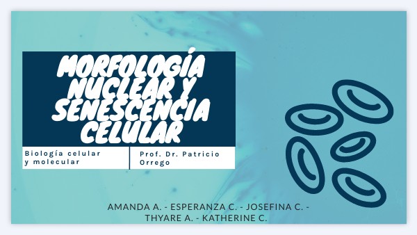 PRESENTACIÓN BIOCEL | Genially