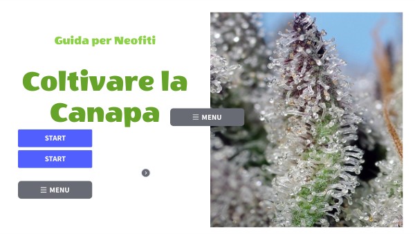 BASIC GUIDE | Genially