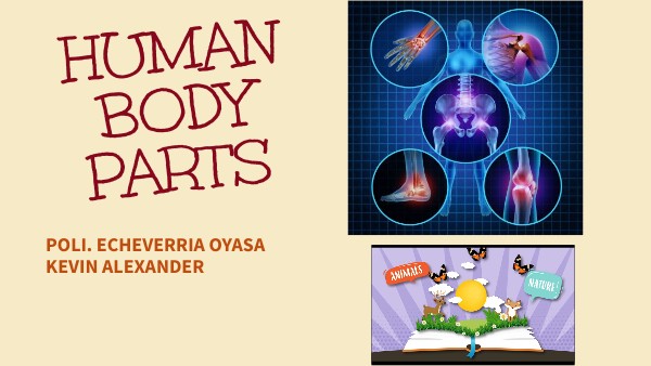 HUMAN BODY PRESENTATION | Genially