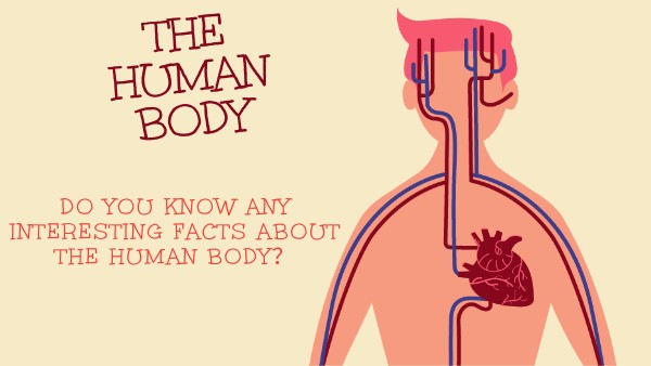 HUMAN BODY PRESENTATION