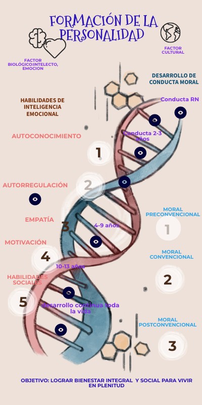INFO VERTICAL ADN | Genially