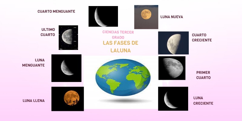 FASES DE LA LUNA