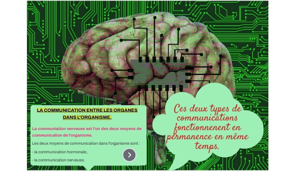 Communication hormonale et nerveuse