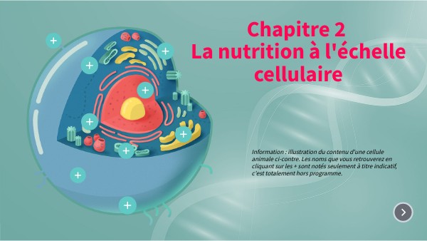 Chapitre 2 La nutrition à l'échelle cellulaire | Genially