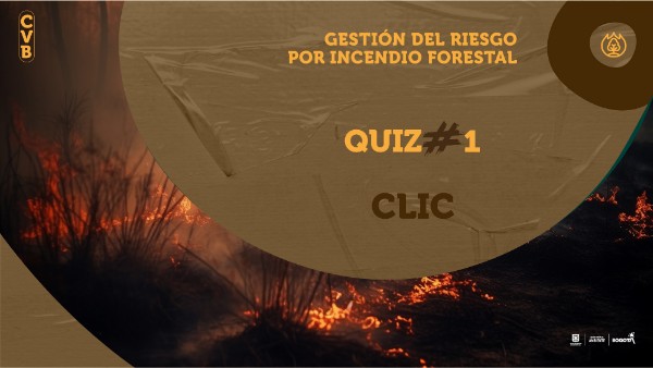 Quiz Módulo 1 | Genially