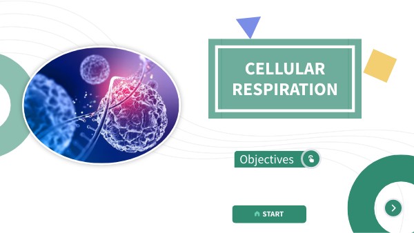 SC6-WEEK26-CELLULAR RESPIRATION