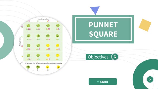 SC7-WEEK31-PUNNET SQUARE | Genially