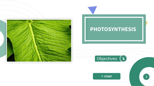 SC8-WEEK3-PHOTOSYNTHESIS | Genially