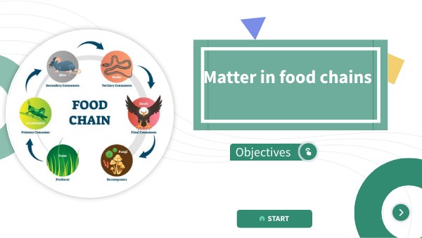 SC8-WEEK13-MATTER IN FOOD CHAINS | Genially