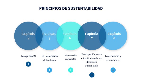 U2 Principios básicos de Sustentabilidad | Genially