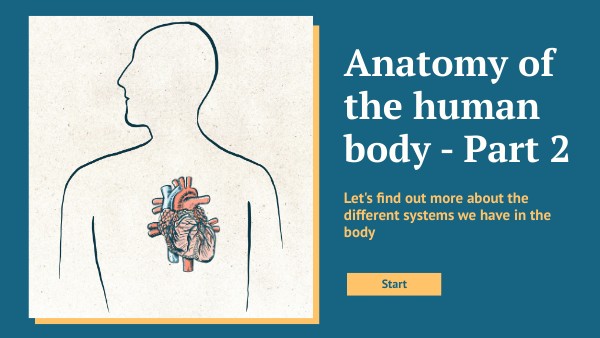 A2 - Anatomy of the human body - Part 2