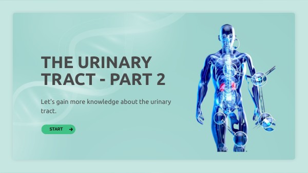 B1 - Dietetyka - The urinary tract - Listening - Part 2