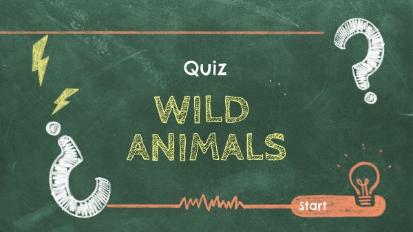 Wild animals quiz | Genially