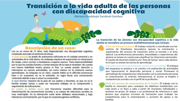 Transición a la vida adulta de las personas con discapacidad cognitiva ...
