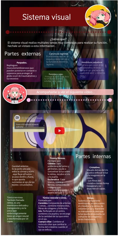 Sistema visual | Genially