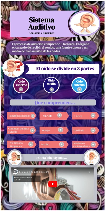 Sistema auditivo | Genially