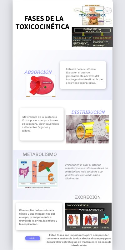 fases de la toxicocinética | Genially