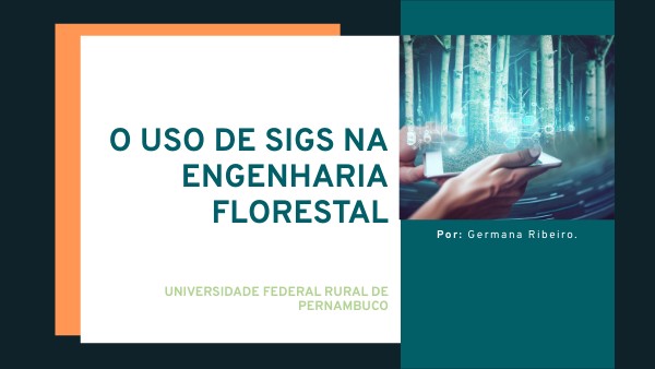 SIGs - Engenharia Florestal