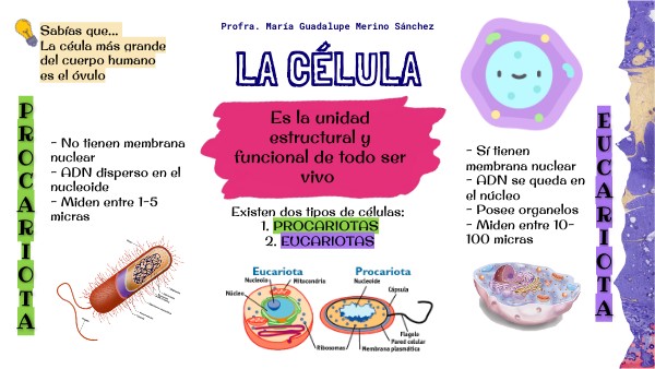 INFOGRAFÍA: LA CÉLULA | Genially