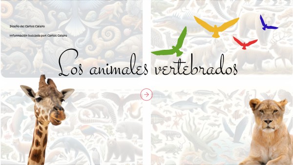 presentacion de animales vertebrados