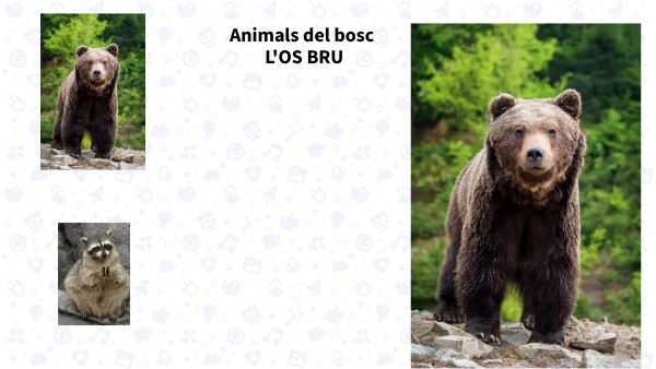 puzzles animals del bosc | Genially