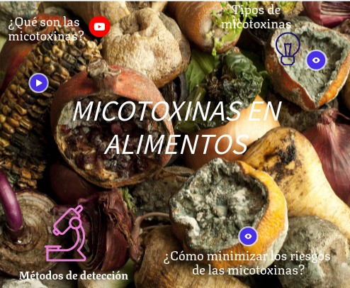 MICOTOXINAS EN ALIMENTOS | Genially