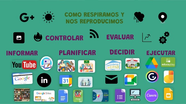 Organizador gráfico de las 6 Etapas | Genially