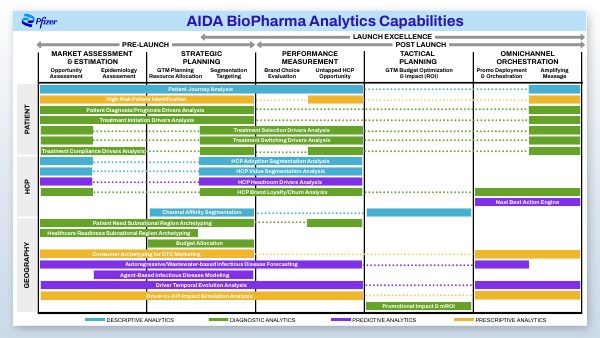 View 1 - Pfizer's Analytical Capabilities v.1.0