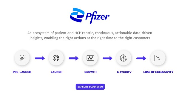 Archived - Pfizer's Analytical Capabilities v1.0