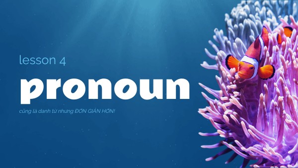 lesson 4 pronoun