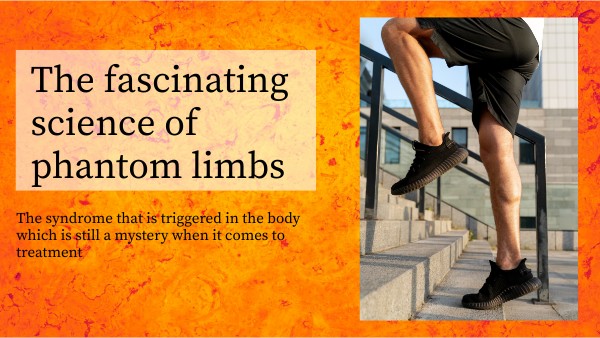 B2 - Społeczeństwo - Phantom limbs