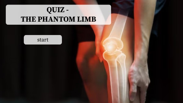 B1 - Quiz - Phantom limb