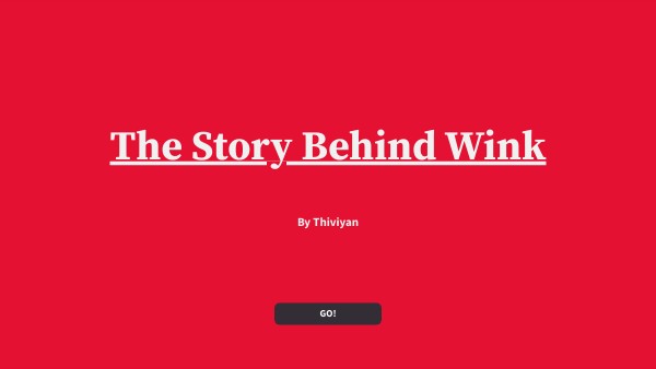 The Story Behind Wink