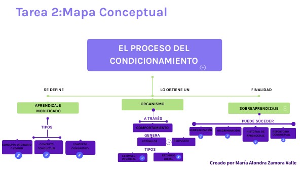 MAPA CONCEPTUAL PROCESO DE CONDICIONAMIENTO | Genially