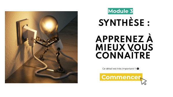SYNTHÈSE MODULE 3 | Genially