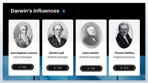 X Profiles Showcase | Genially