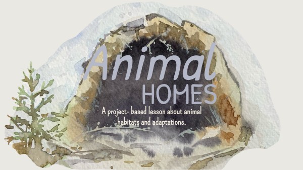 Animal Homes | Genially