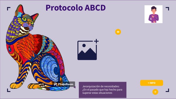 Protocolo ABCDE
