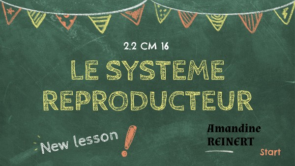 Le système reproducteur L1 IFSI | Genially