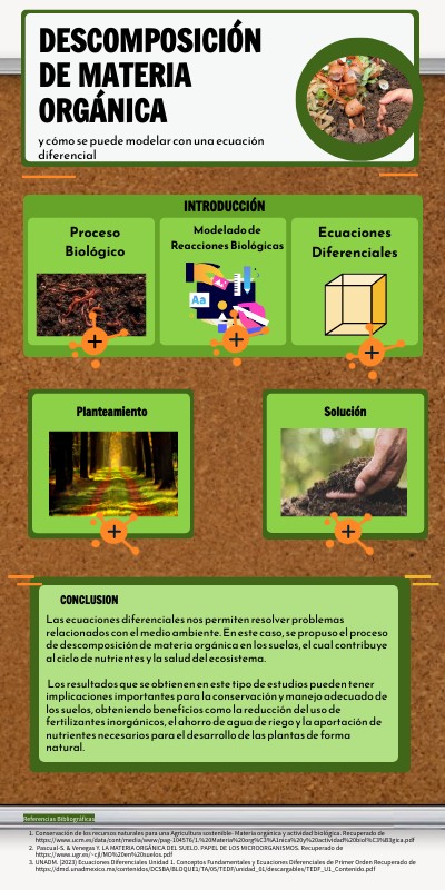 INFOGRAFIA_ED_DESCOMPOSICIÓN | Genially