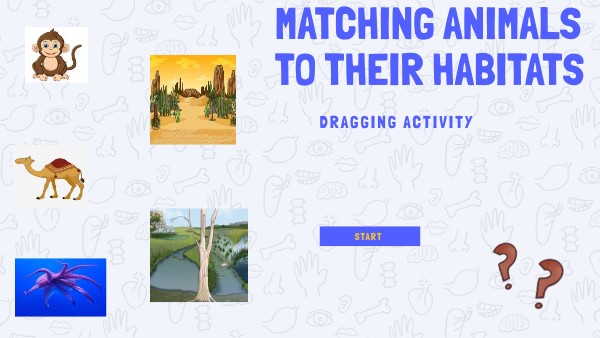Matching Animals and their Habitats | Genially