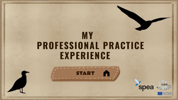 Professional practice notebook | Genially