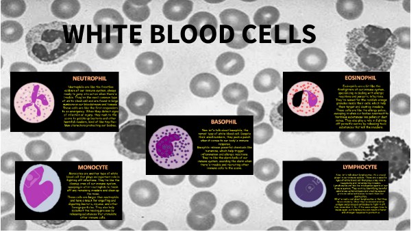 WHITE BLOOD CELLS