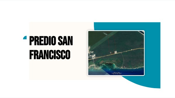 MAPA MENTAL ESQUEMA VERTICAL