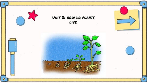 HOW DO PLANTS LIVE