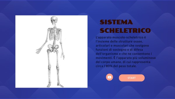 PARTS OF THE ANIMAL CELL