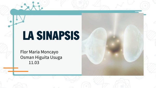 sinapsis